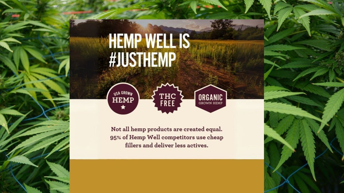 Why Hemp Well CBD Oil Is Different: Natural Hempseed Oil vs. MCT Oil ...