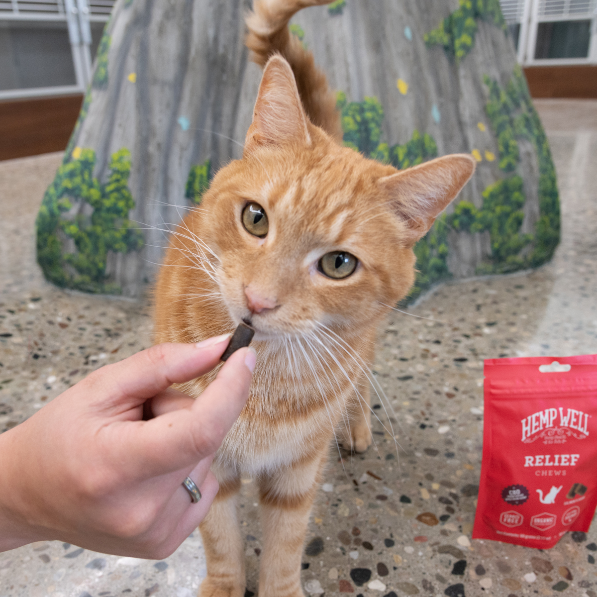 Organic Hemp Health For Pets – Hemp Well