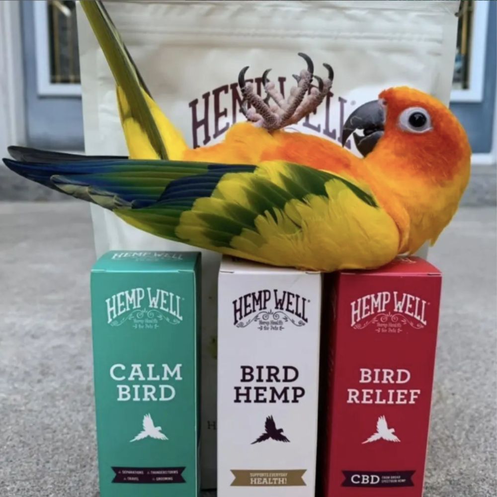 Organic Hemp Health For Pets – Hemp Well