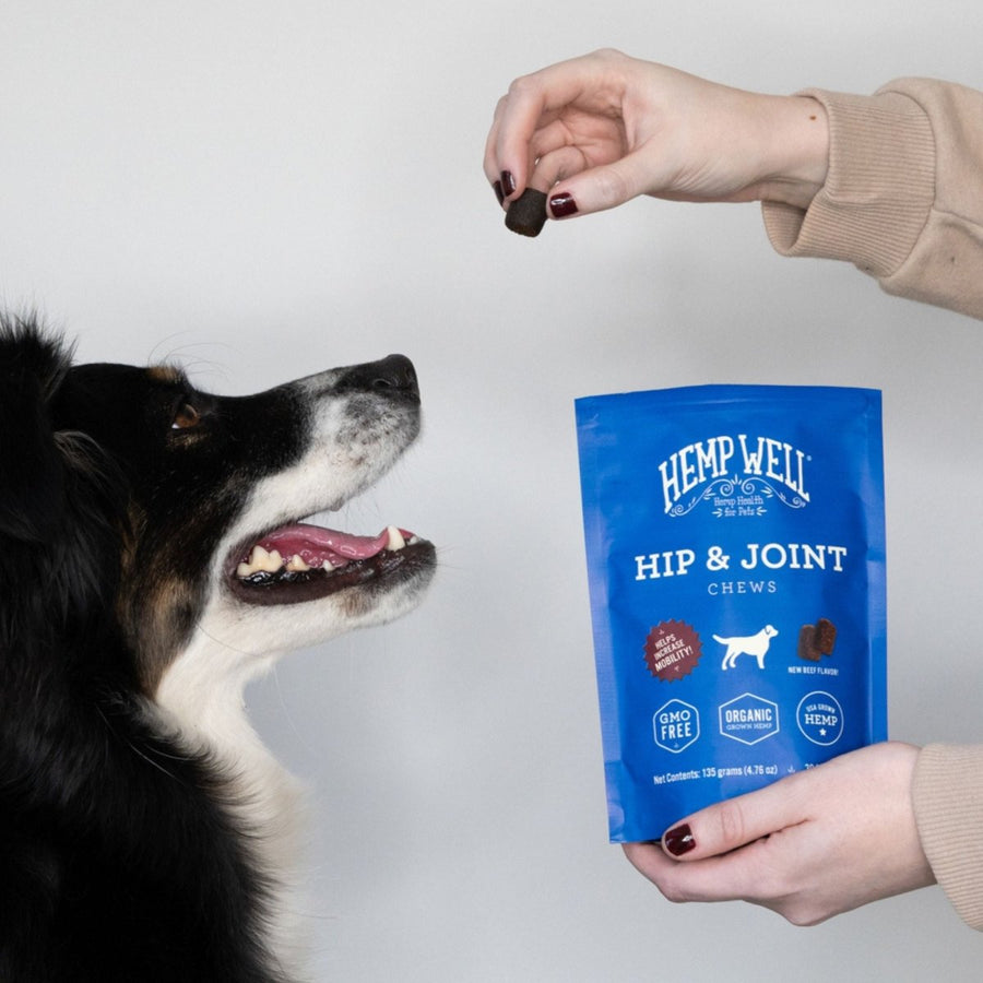Relief CBD Dog Chews - Soothe Your Canine's Discomfort – Hemp Well